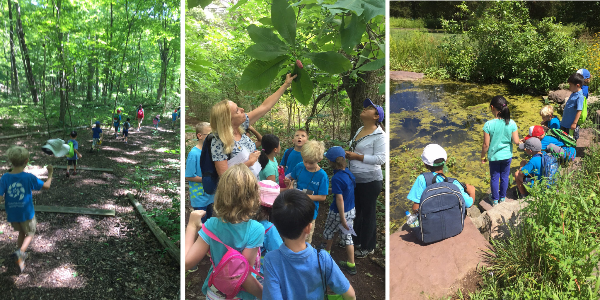 Outdoor Literacy & Exploration! - Princeton Montessori School