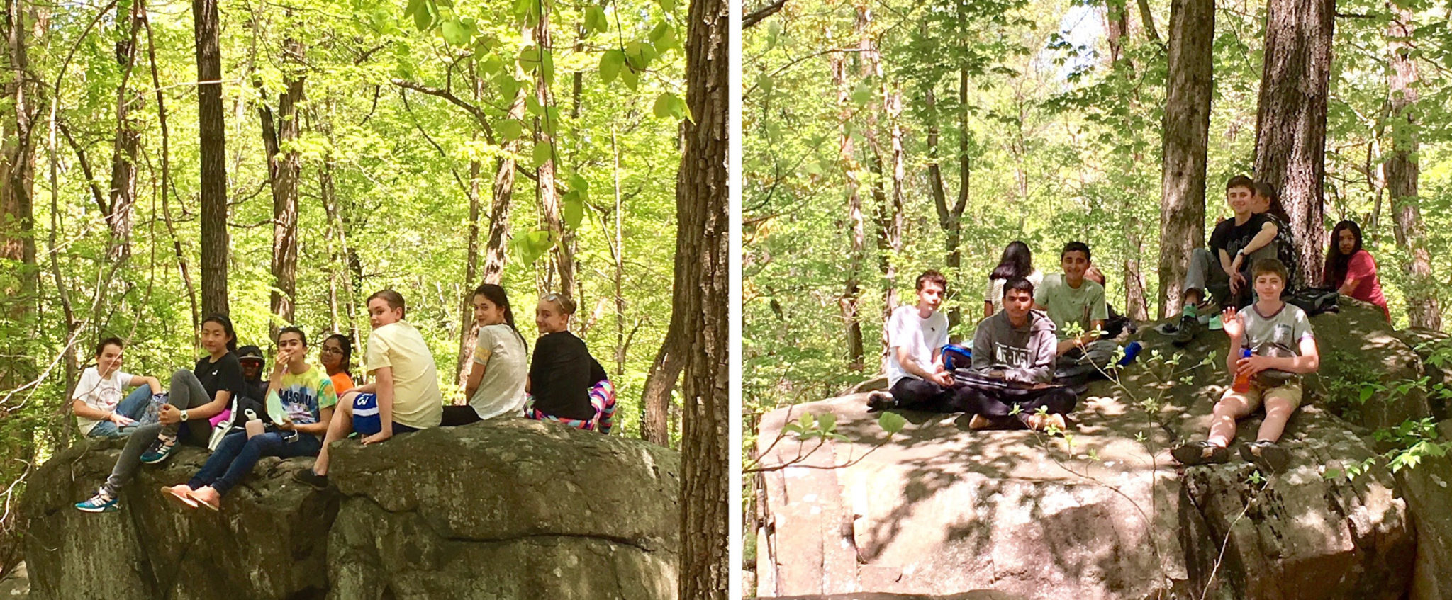 Middle School Hiking Day - Princeton Montessori School