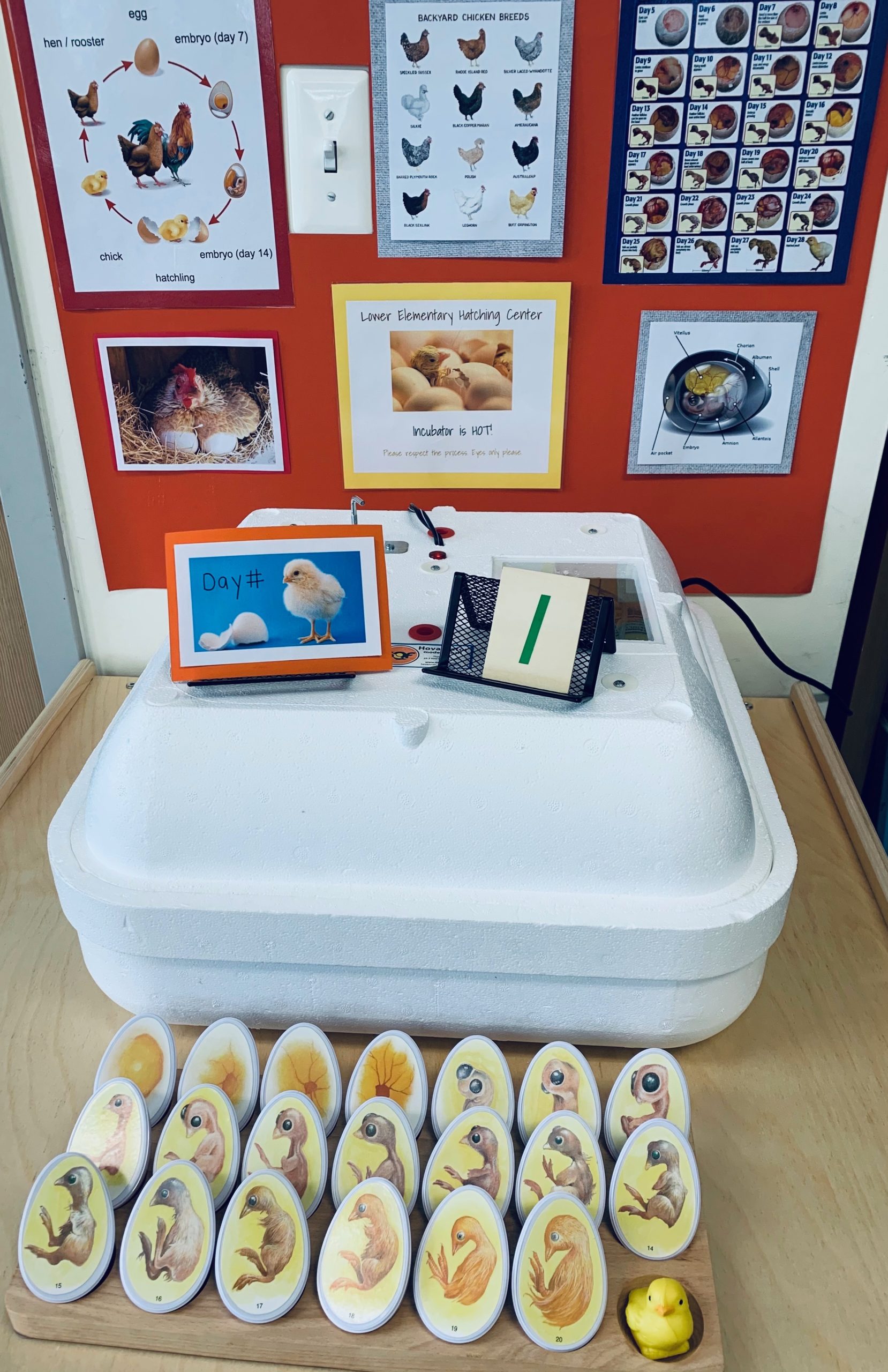 Farm to School Update - Princeton Montessori School