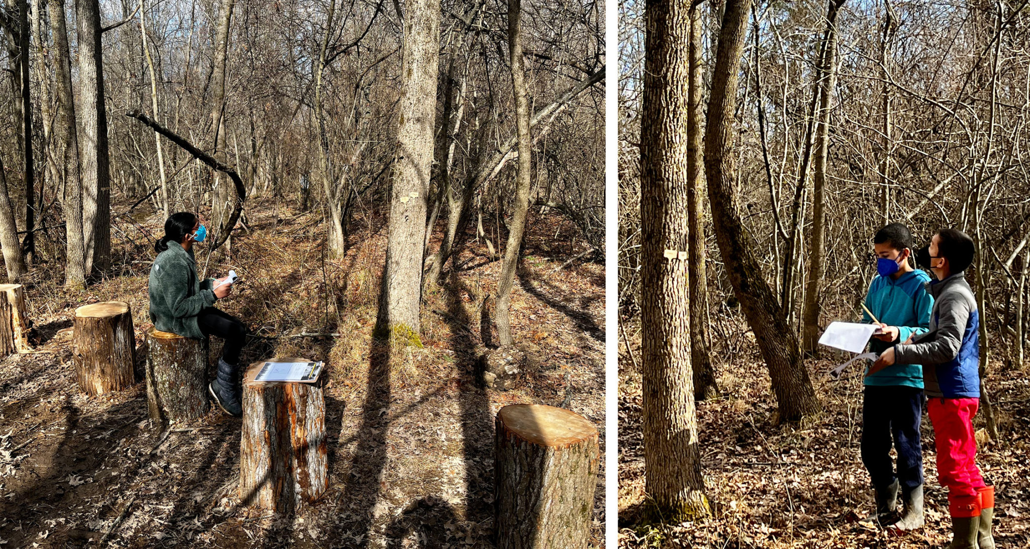 Adopt a Tree Program - Princeton Montessori School